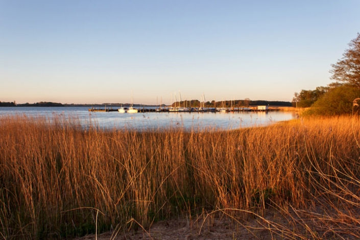 Bohnert - Ostseekult